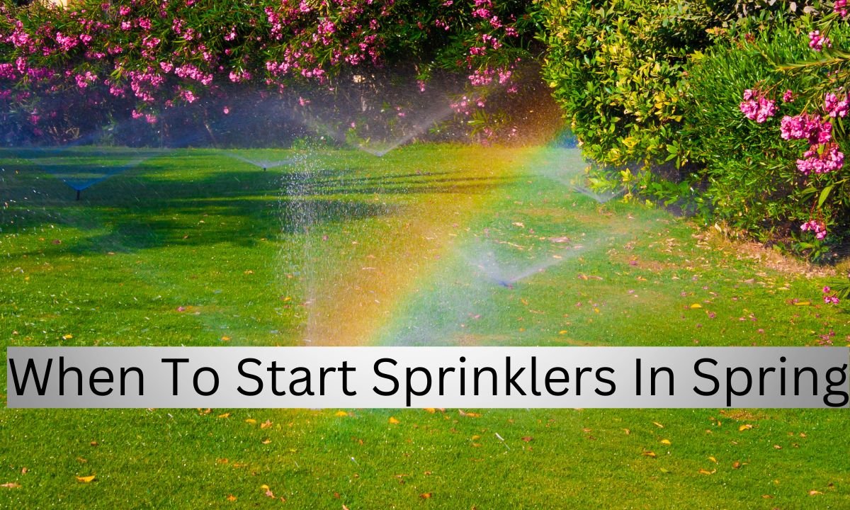 When To Start Sprinklers In Spring Wichita KS | Lawn Guide