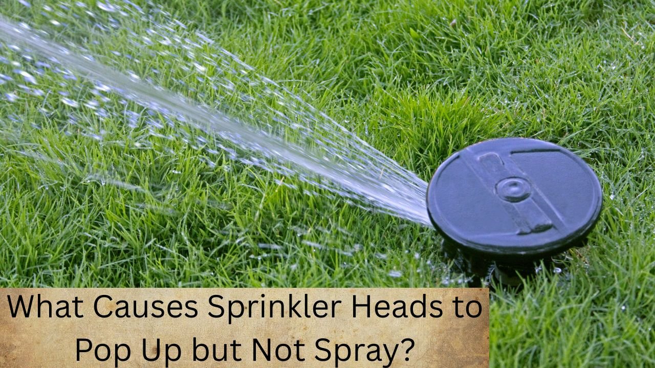 Sprinkler Head Pops Up But No Water? Easy Fixes Here