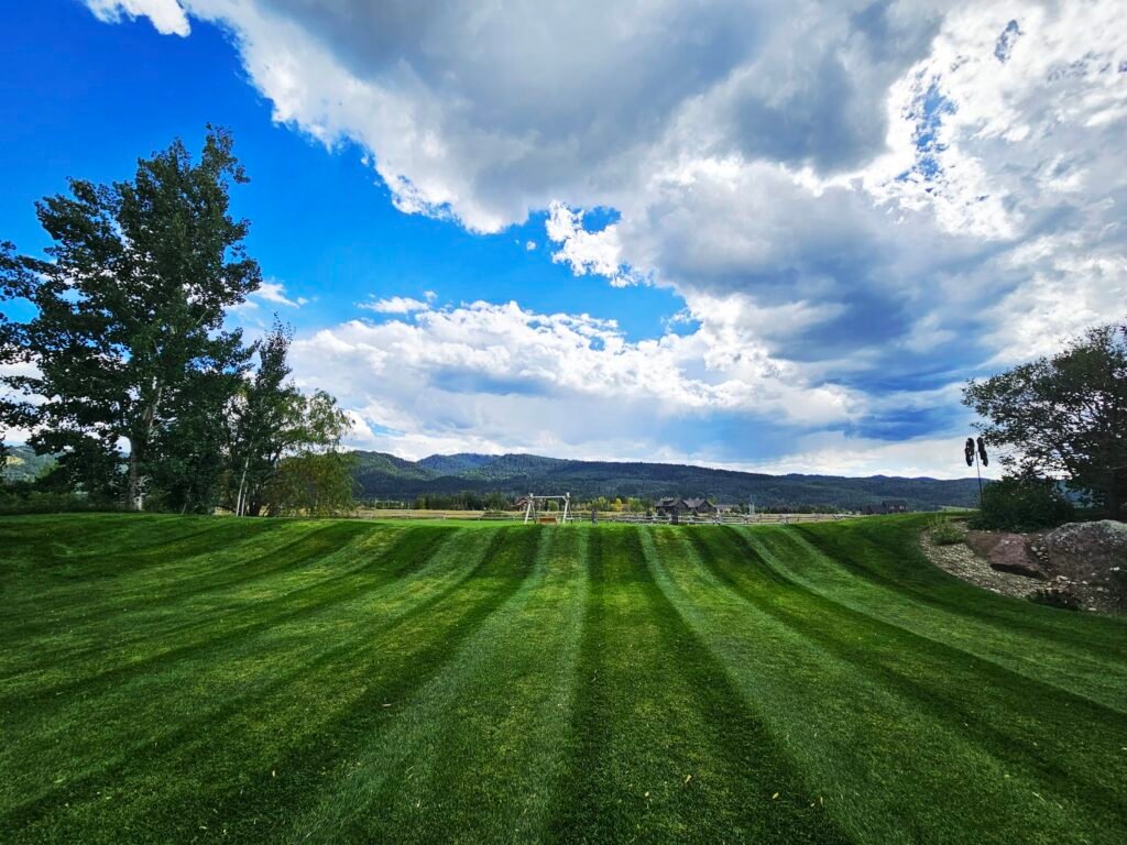 Mountain Valley Landscaping - SprinkleSplash.com