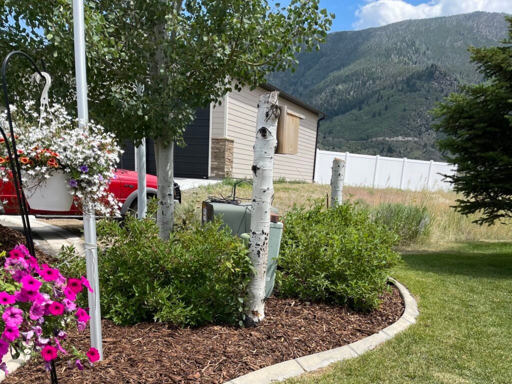 SK Landscape Sprinklers Construction - SprinkleSplash.com
